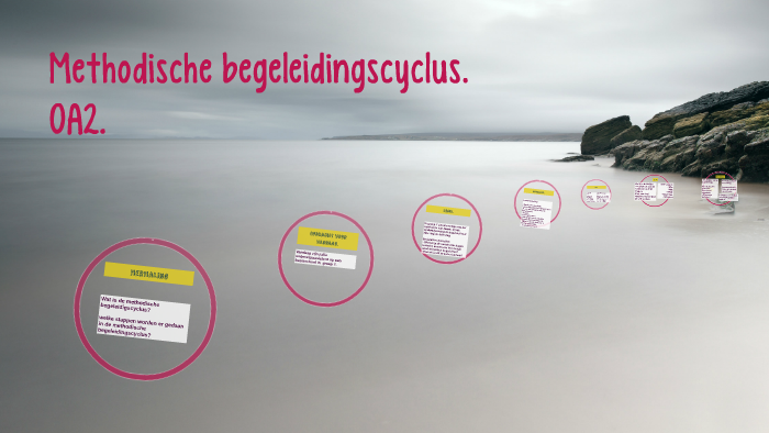 Methodische begeleidingscyclus. by Hester van der Gaast on Prezi