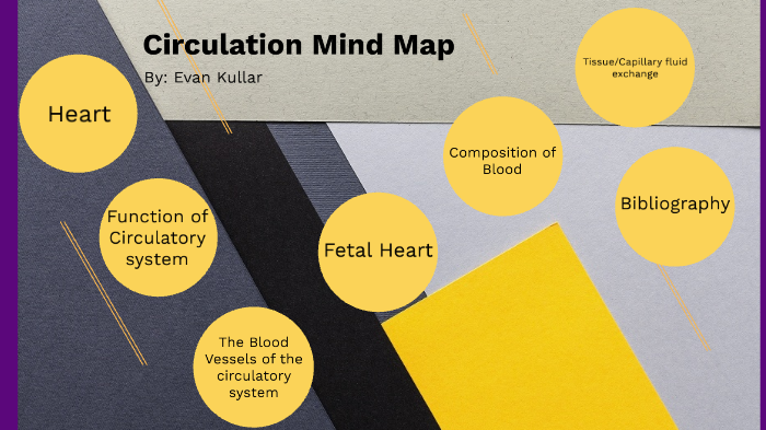Circulation Mind Map by Evan Kullar on Prezi