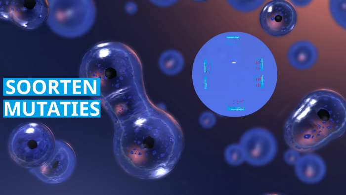 Soorten Mutaties by Matthijs de Vries on Prezi