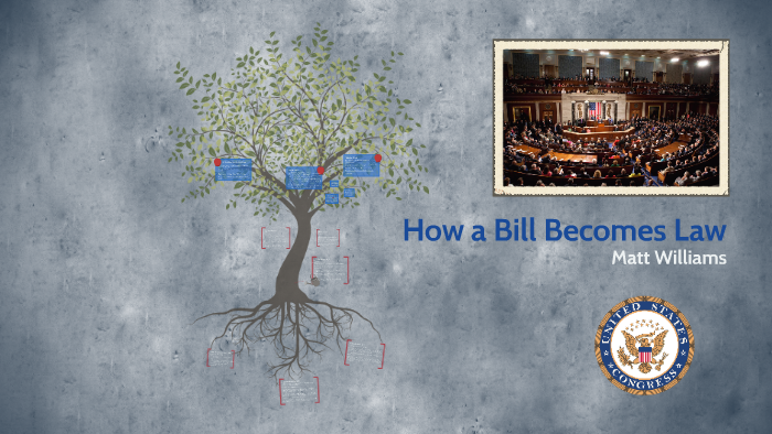 Congress: The Steps Needed to Pass a Bill by Matthew Williams on Prezi