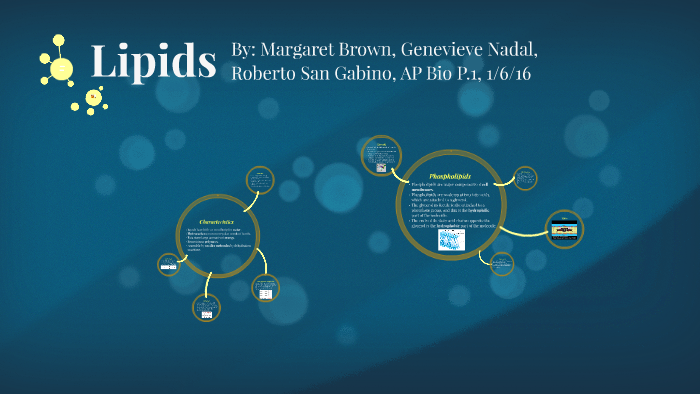 AP Biology Lipids by G N on Prezi
