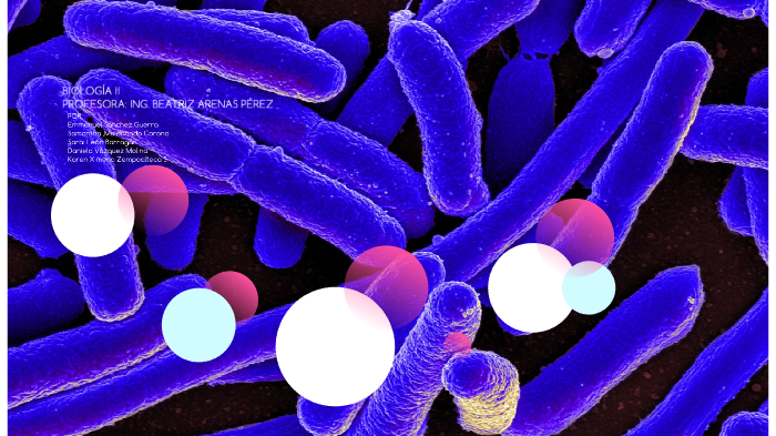 DOMINIO ARCHAEA by Ximena Zempoalteca Sánchez on Prezi