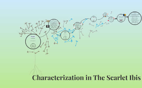 Characterization of Scarlet Ibis by Natalie H on Prezi
