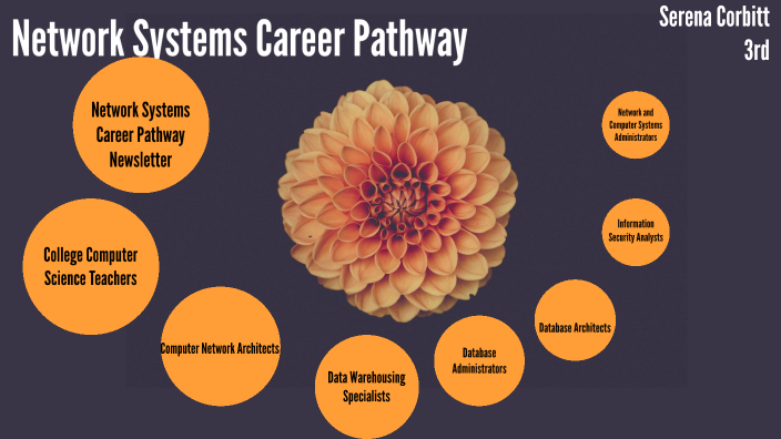 Network Systems Career Pathway by Serena Corbitt on Prezi