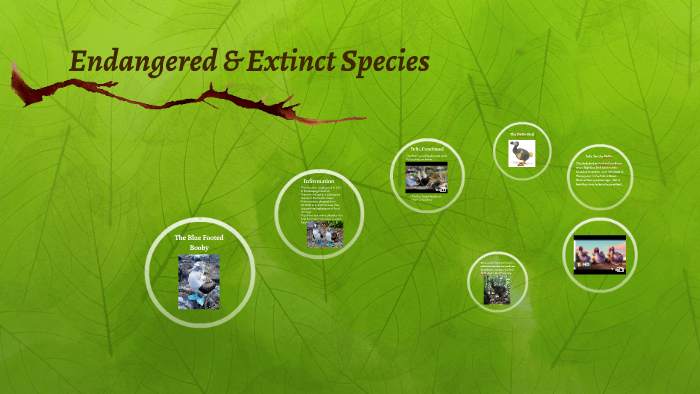 Endangered & Extinct Species by Jaren Ramirez on Prezi