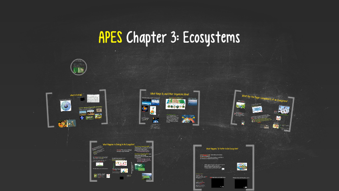 APES Ch 3: Ecosystems by Valerie Head on Prezi