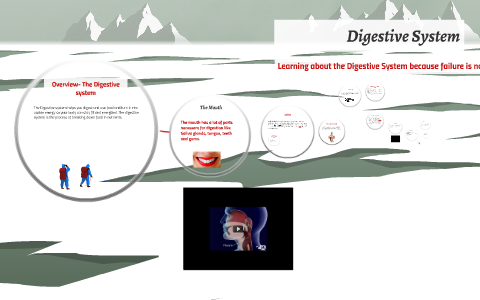 Digestive System by Jonathan Nava-Plata on Prezi