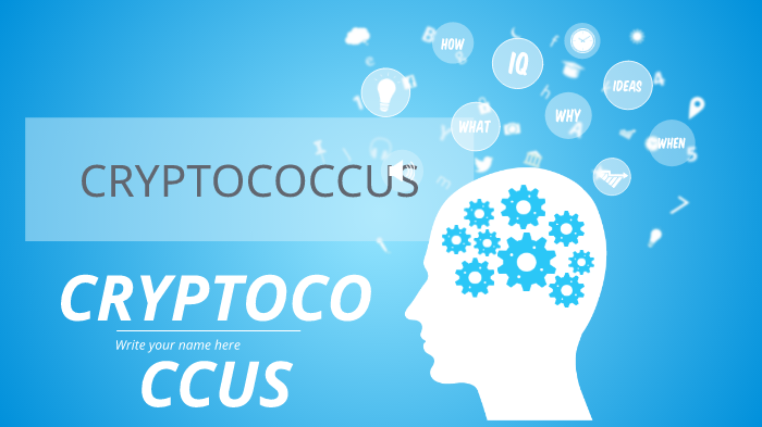 criptococosis by on Prezi