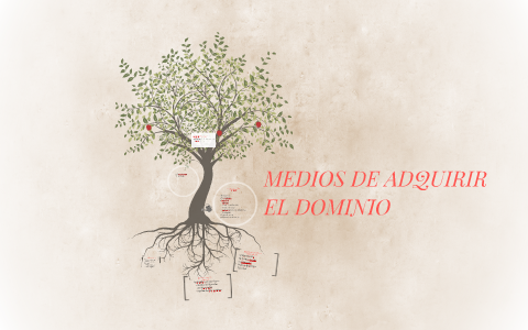MEDIOS DE ADQUIRIR EL DOMINIO by Maria angelica Medina Calderon on Prezi
