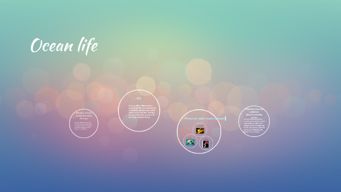Ocean life by Marley Crites on Prezi