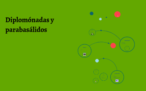 Diplomónadas y parabasálidos by ana maria ruiz on Prezi