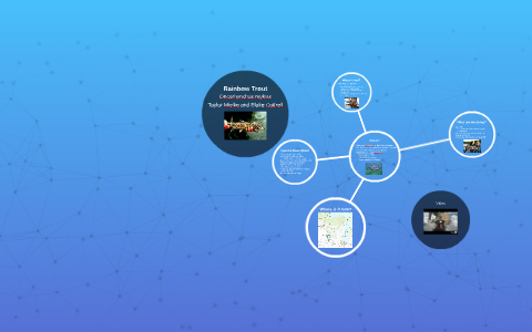 Rainbow Trout by Taylor Mielke on Prezi