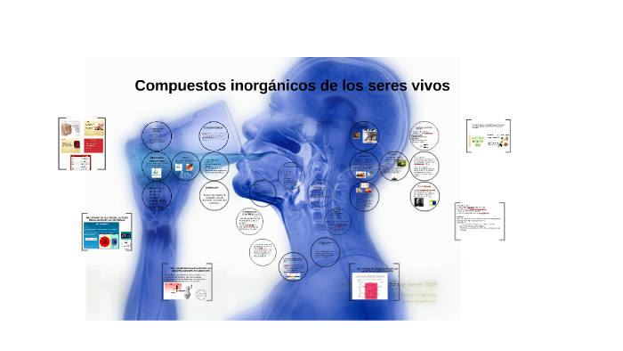 Componentes inorgánicos by Heeyzarath Gallegos on Prezi