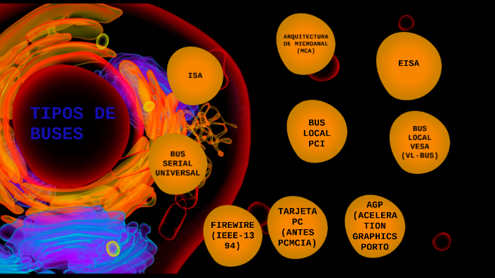 Angelo Gallardo 4to Baco "A" by Angelo Gallardo Garrido on Prezi