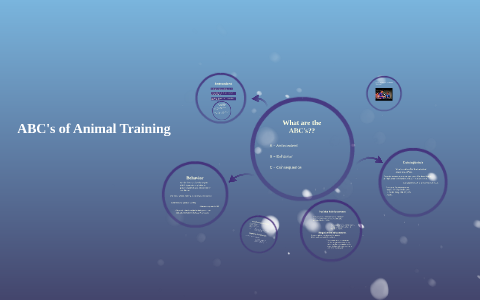ABC's of Animal Training by natan davydov on Prezi