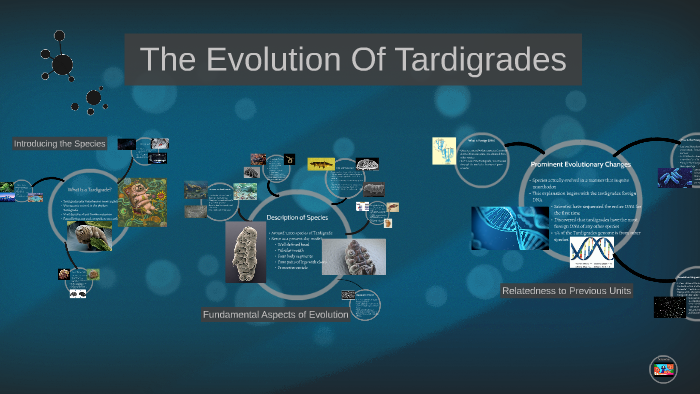 The Evolution Of Tardigrades by Zakyad Legnini on Prezi
