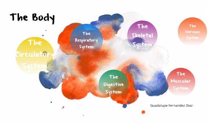 The Six Body Systems by Guadalupe Fernandez Diaz on Prezi