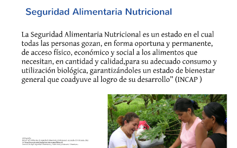 Seguridad Alimentaria y Nutricional (SAN) by Priscilla Araya on Prezi