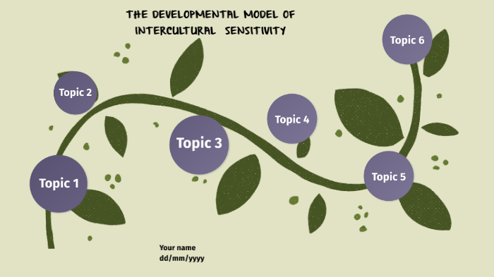 THE DEVELOPMENTAL MODEL OF INTERCULTURAL SENSITIVITY by marjorie ...