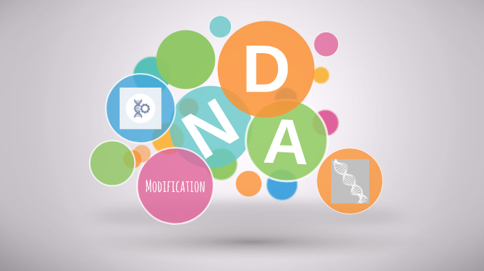 DNA Modification by Madeline Scherer on Prezi