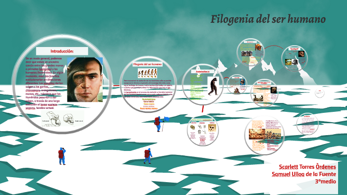 Filogenia del ser humano by grupo de mundo on Prezi