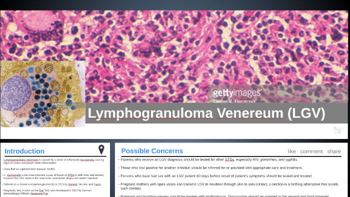 Lymphogranuloma venereum (LGV) by Human Sexuality on Prezi