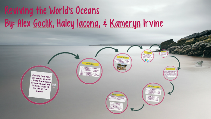 Reviving The World's Oceans by Haley Iacona
