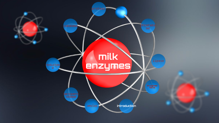 milk enzymes by sarah adel on Prezi