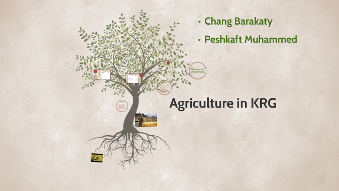 Agriculture in Kurdistan by Buash Muhammed on Prezi
