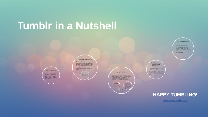 Tumblr in a Nutshell by Jessica Reingold