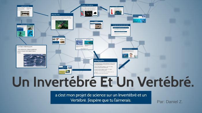 Les Vertebres Et Les Invertebres by on Prezi