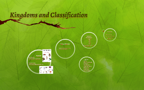 Kingdoms and Classification by Jasmine Alves on Prezi