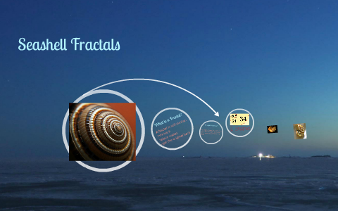 Seashell Fractals by Paige Chavis on Prezi