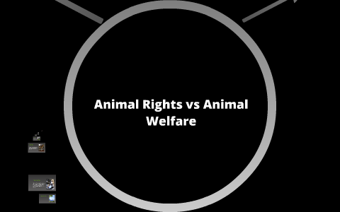 Animal Rights vs Animal Welfare by Gabe Sandal on Prezi