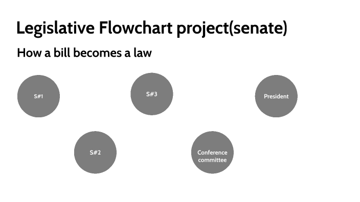 Legislative Flowchart project by Barry Liu on Prezi