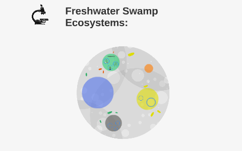 Freshwater Swamp Ecosystems: by daniel western on Prezi