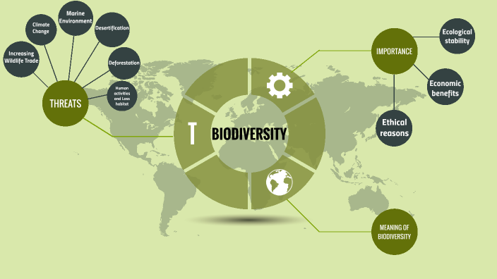 GROUP 2-BIODIVERSITY CONCEPT MAP by Fatima Dulaham on Prezi