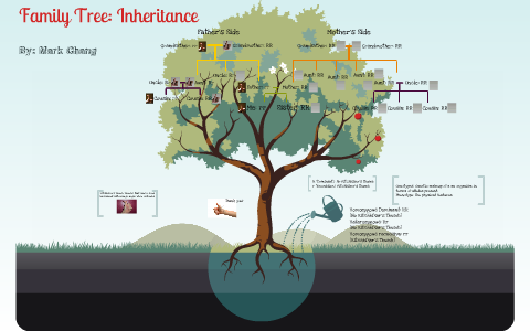 Family Tree Inheritance by Mark Chang