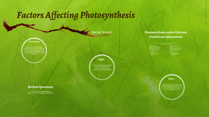 Factors Affecting Photosynthesis by Rachel Sinnott on Prezi