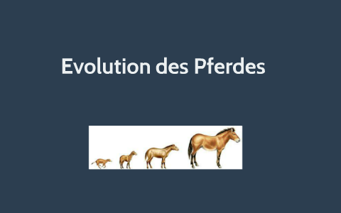 Evolution des Pferdes by Sina Aringer on Prezi