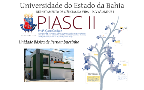 PIASC II by Daniele Souza on Prezi