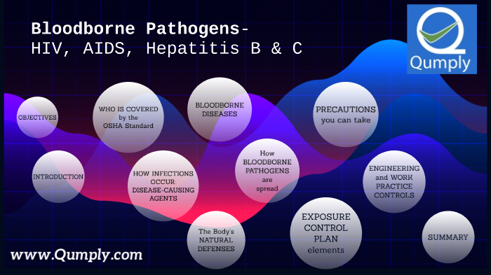 Bloodborne Pathogens – HIV, AIDS, Hepatitis B & C by Qumply Riva on Prezi