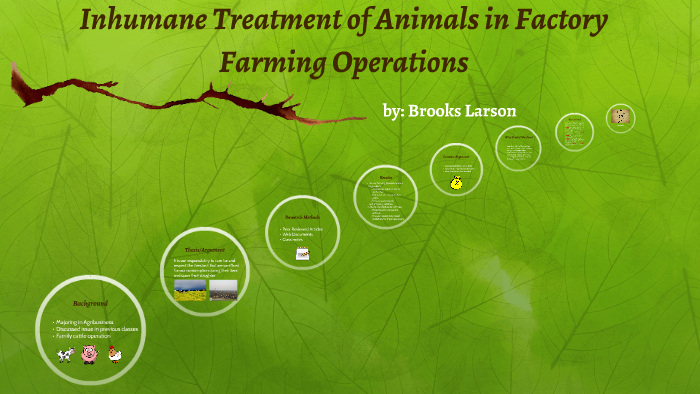 Inhumane Treatment of Animals in Factory Farming Operations by Brooks ...