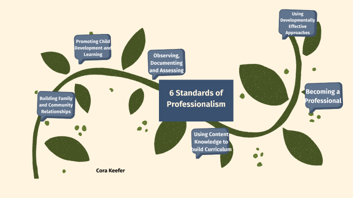 6 Standards of Professionalism in Early Childhood Education by Cora ...