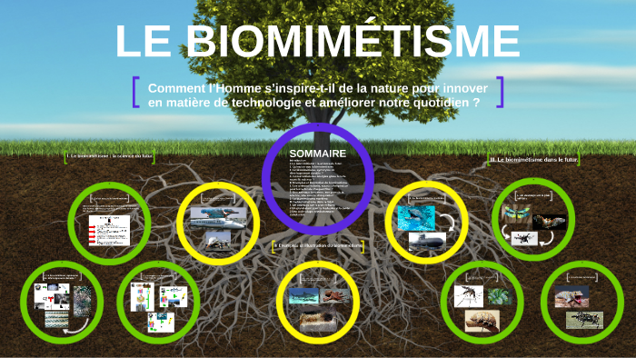 LE BIOMIMÉTISME by Nathan Kuster on Prezi