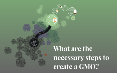 What are the necessary steps to create a GMO? by Ariana Angarita on Prezi