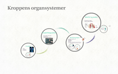 Kroppens organsystemer by Amalie Gunnarson on Prezi