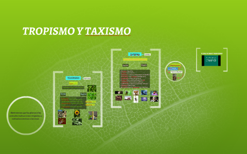 TROPISMO Y TAXISMO by Orlando Benalcazar on Prezi