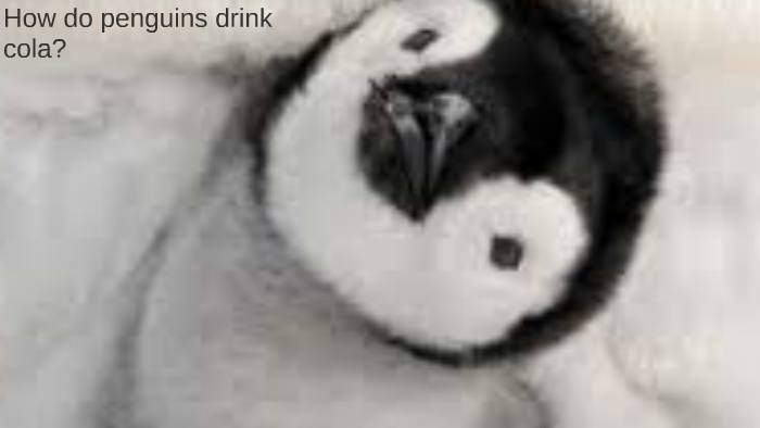How do penguins drink cola? by Stacey Baggaley on Prezi