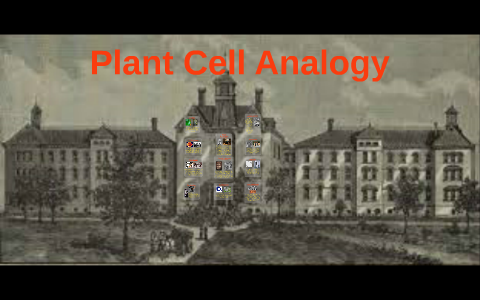 Asylum Plant Cell Analogy by Lela Curtis on Prezi